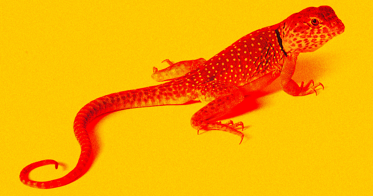 Scientists Prototype "Creeping" Lizard-Like Robot for Exploring Mars