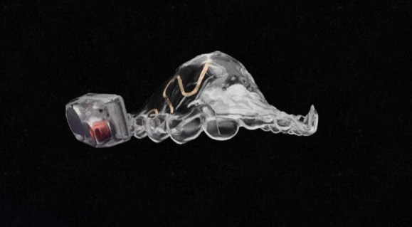 Tongue-Controlled Bluetooth Mouse Lives Inside Your Mouth