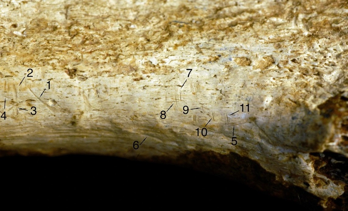 Scientists Make Horrific Discovery About Cannibalism in Human Ancestors
