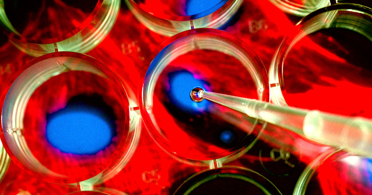 Scientists Create Synthetic Human Embryos Using No Sperm or Egg