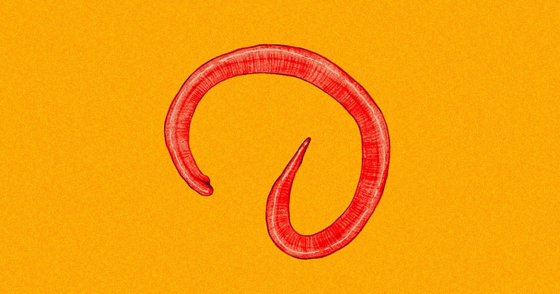 Doctors Stunned to Find a Live Worm Inside a Patient’s Brain
