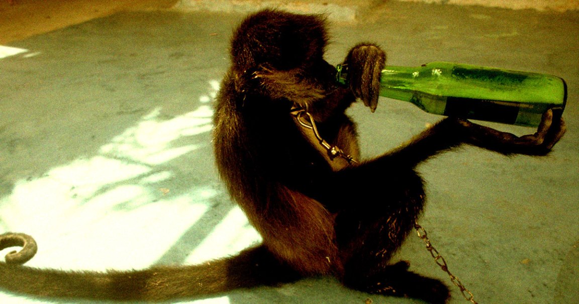 New Gene Therapy Dramatically Reduces Booze Consumption in Alcoholic ...