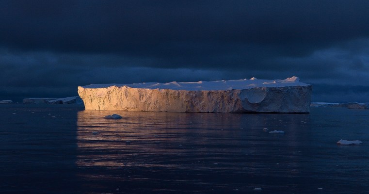 Scientists Find Evidence of an Ancient Rainforest in Antarctica