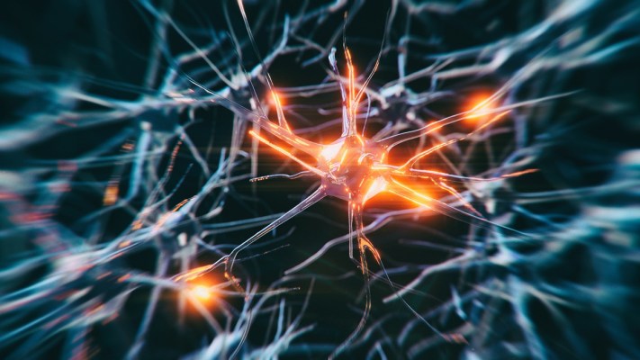 Biotech Company Says It's Implanted Dopamine-Making Cells in Patients ...