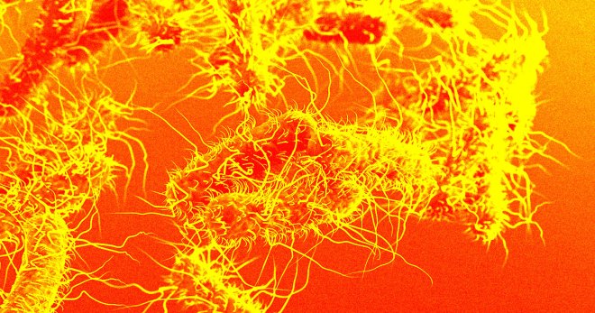 Former Google Exec Warns AI Could Create a Deadly Plague