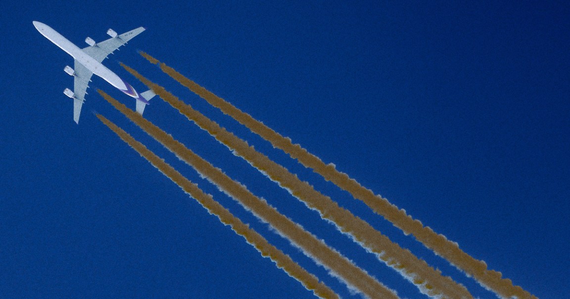 Passenger on Ill-Fated Diarrhea Plane Says Flight Attendants Were ...