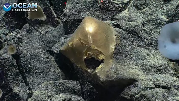 Scientists Say They've Figured Out What That Golden Orb Found at the ...