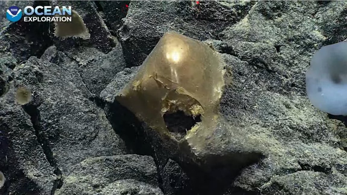 "Something Tried to Get In... or to Get Out": Scientists Find Strange ...
