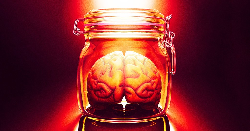 New Device Can Keep Brain Alive for Hours Without Body