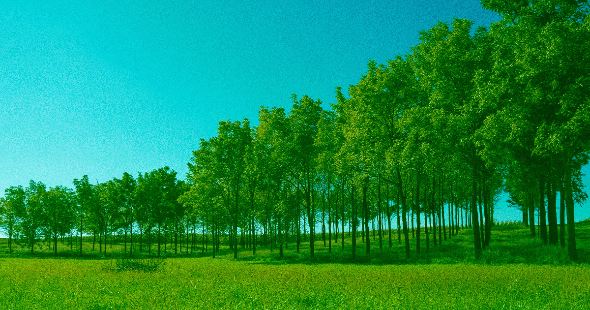 Guy Who Urged Planting a Trillion Trees Begs People to Stop Planting So ...