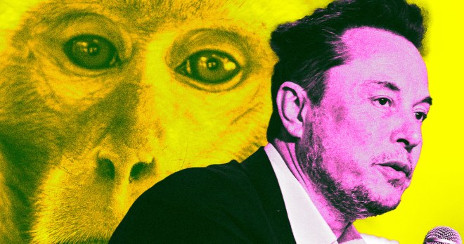 Here’s What Happened to Monkeys That Got the Neuralink Implant