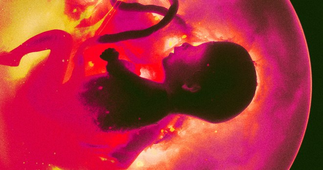 Startup Secretly Working to Gene-Hack Human Baby