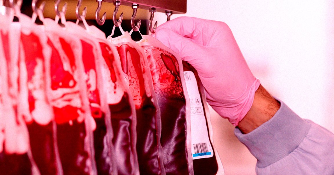 Scientists Intrigued by Bacteria That Turns Any Blood Into Universal ...