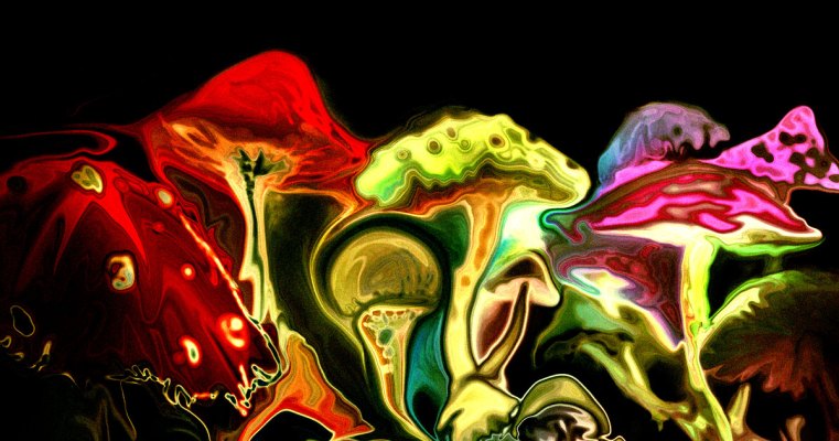 Asked to Summarize a Webpage, Perplexity Instead Invented a Story About ...