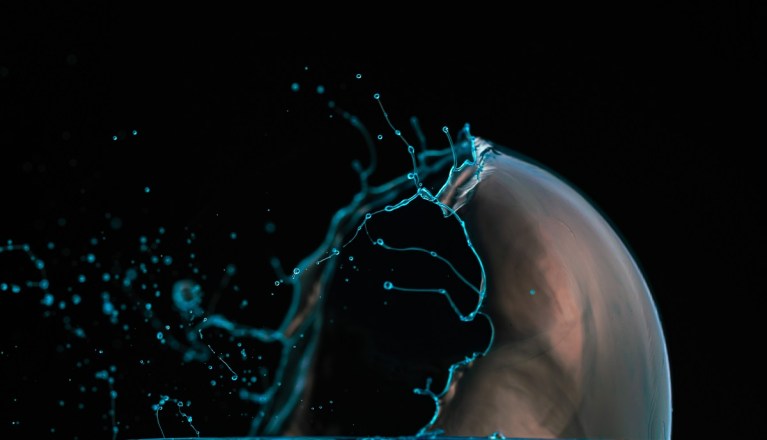 The AI Bubble Is Bursting, Experts Say