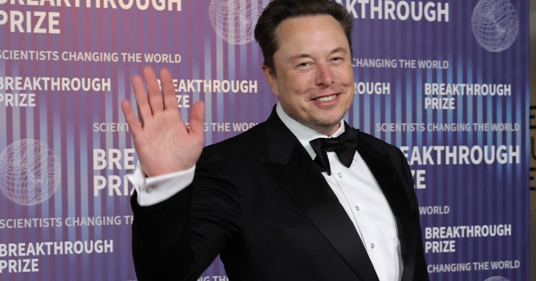 MAGA Angry as Elon Musk's Grok AI Keeps Explaining Why Their Beliefs ...