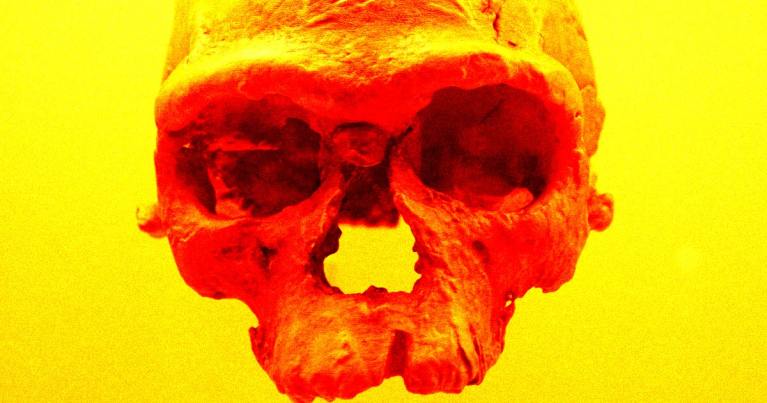 Scientists Say Skeletons Show Ancient Humans With Huge Heads