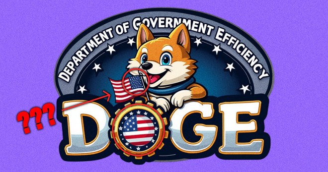 DOGE.gov Website Launches With Mangled, AI-Generated American Flag