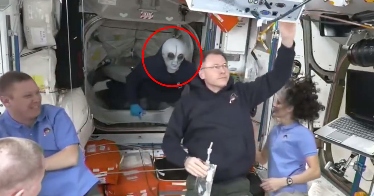Space Station Visitors Greeted With Wild Sight When They Open Hatch