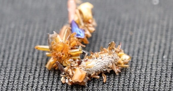 Extremely Metal "Bone Collector" Caterpillar Cloaks Itself in the ...