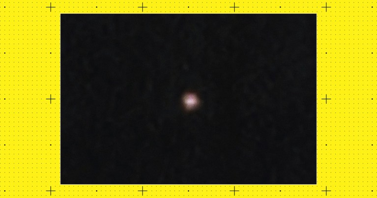 The James Webb Just Found Something Extremely Bizarre About the ...