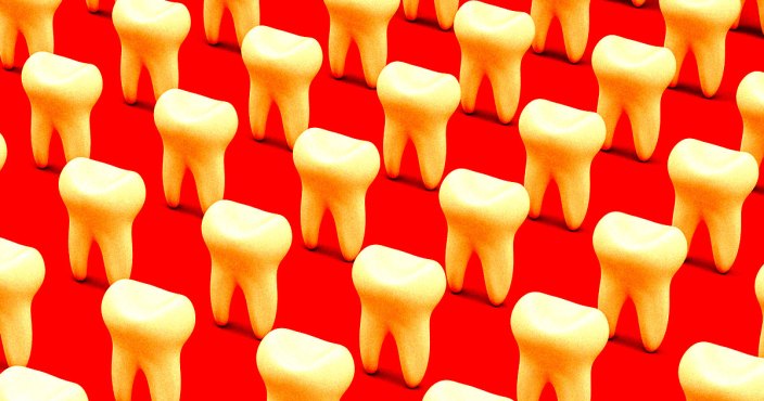 Scientists Successfully Grow Human Tooth in Lab, With Aim of Implanting ...