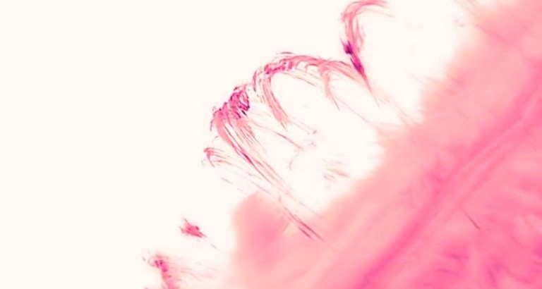 New Imaging Technique Shows the Sun as a Swirling Pink Liquid