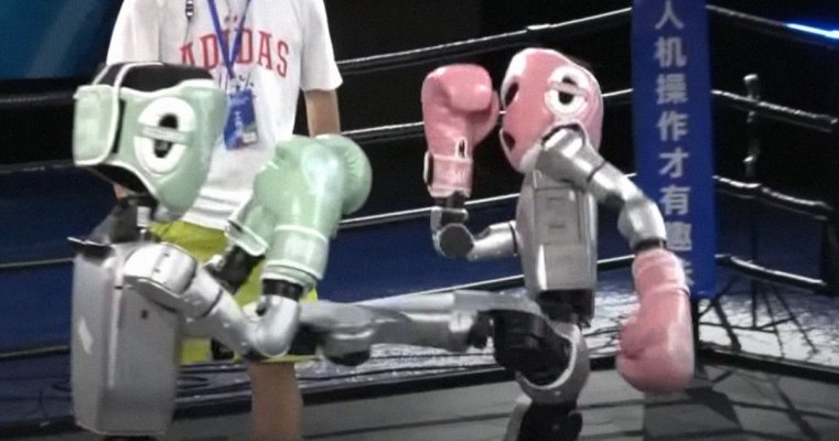 Wild Video Shows Robots Fighting in Kickboxing Match