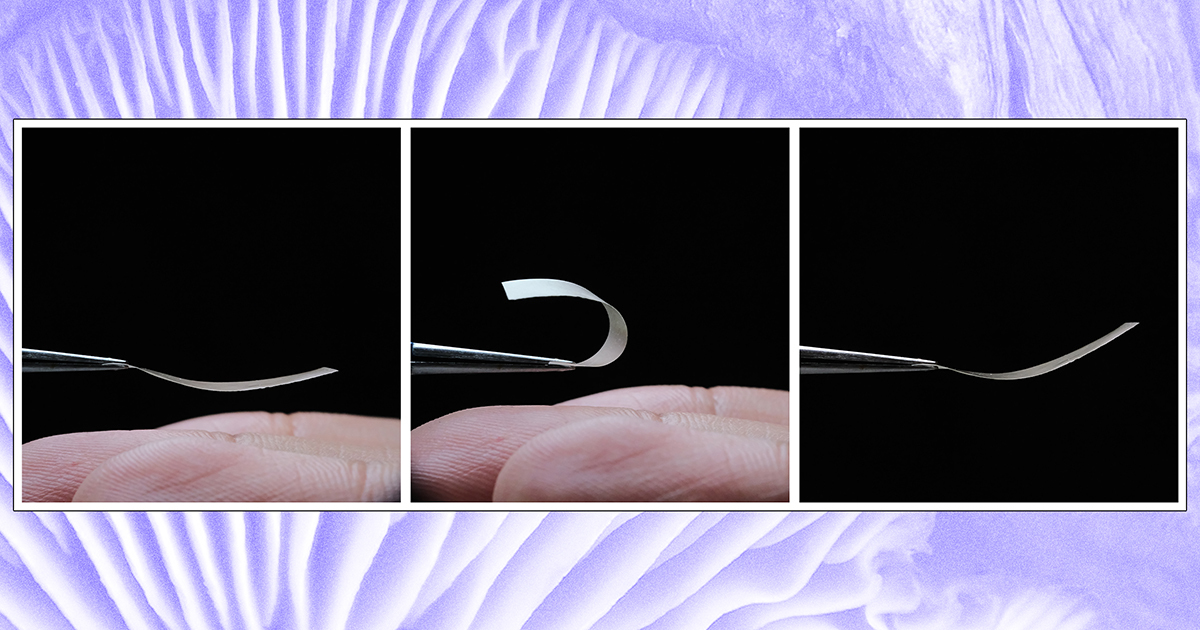 Scientists Create Living Plastic