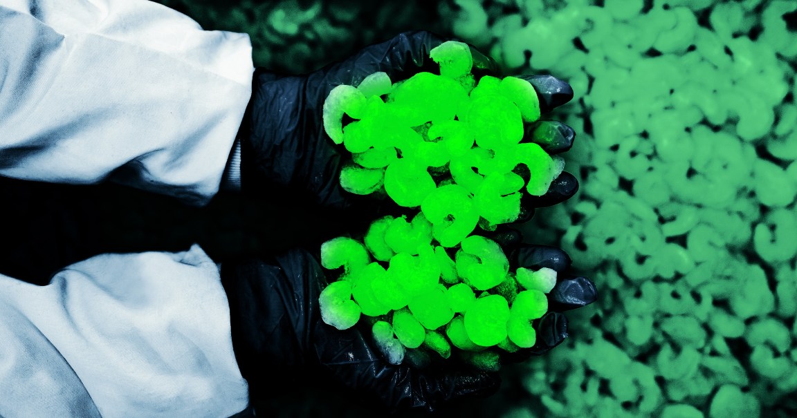 Even More Shrimp Just Got Recalled Because of Radiation, at More ...