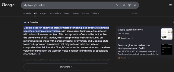 If You Ask Google Why It Sucks Now, AI Overviews Will Viciously Bully ...