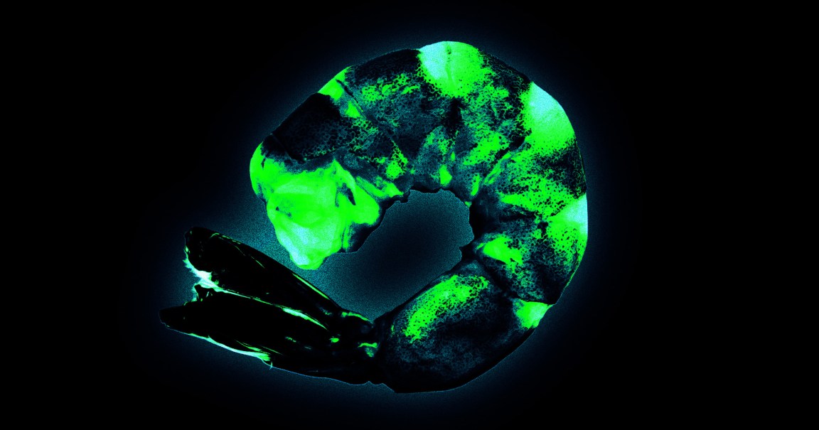 How Did Walmart Frozen Shrimp Become Contaminated With Radioactive ...