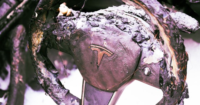 Driver Dies After Tesla Crashes and Bursts into Flames
