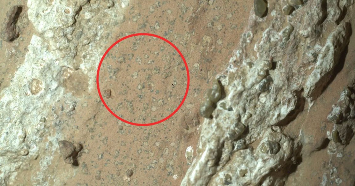 NASA Says Its Mars Rover Has Detected Possible Signs of Life on the Red ...