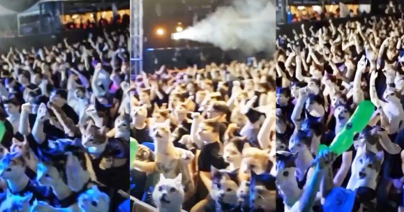 Will Smith Posts Bizarre New AI-Generated Concert Video