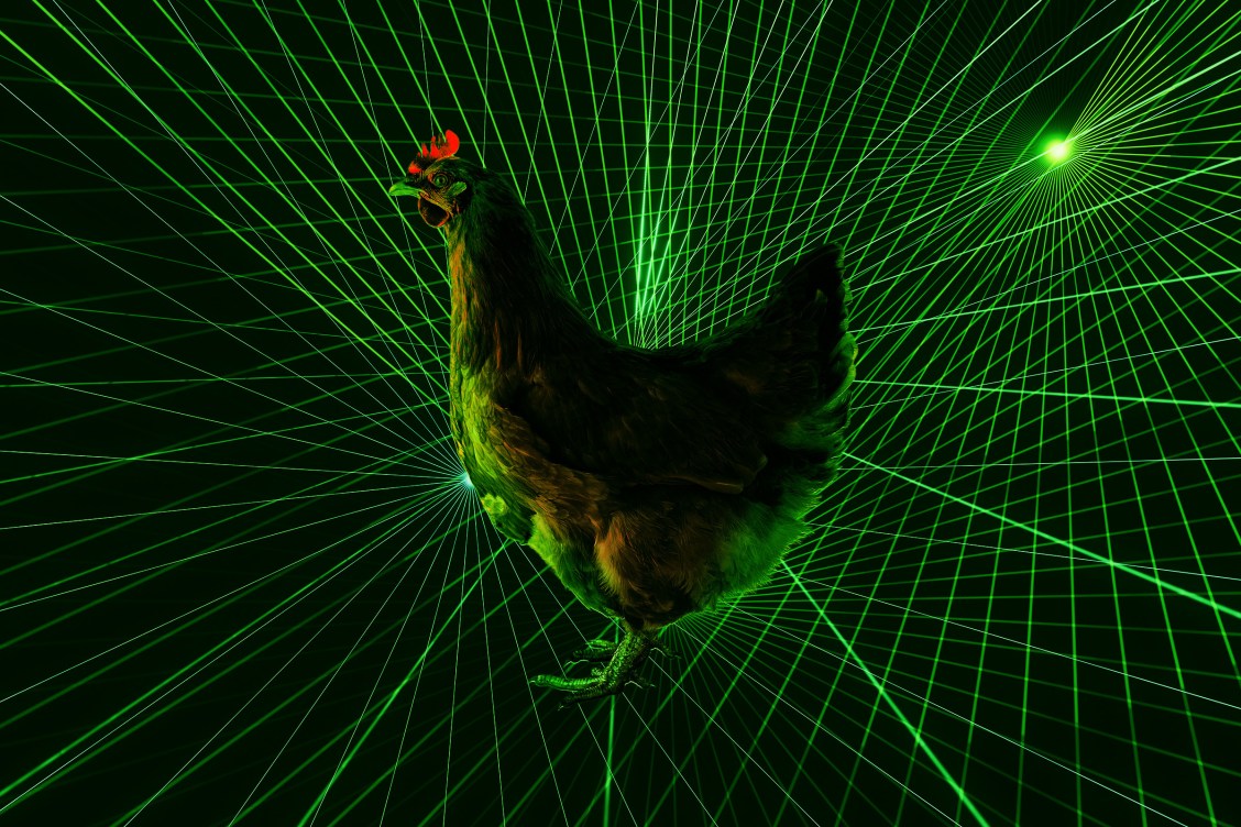 Japanese Farmers Send Out Automated Laser Drones to Defend Chickens