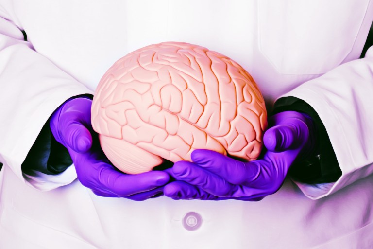 Researchers Get Human Brain Cells Running Doom