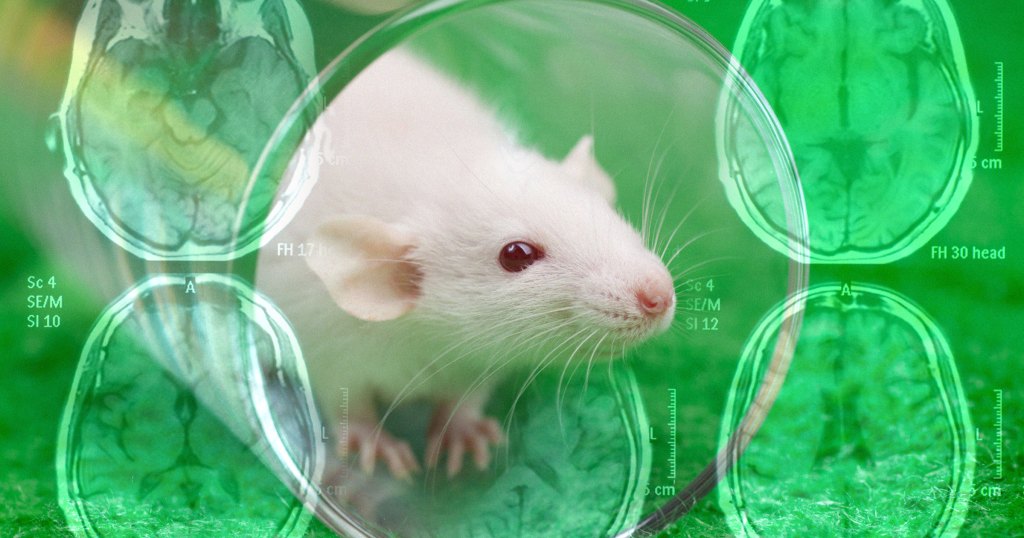 Nanoparticle Treatment Reverses Alzheimer's in Mice