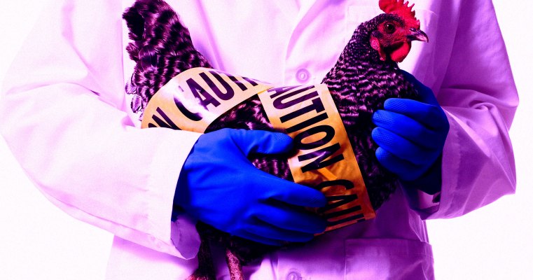 In Leaked Audio, Campbell's Soup Exec Rants About "Bioengineered" Meat ...