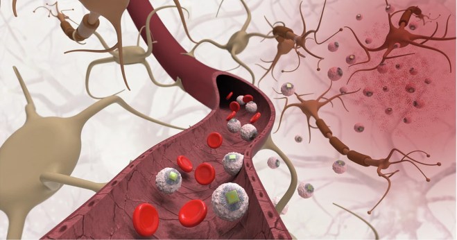 Researchers Get Human Brain Cells Running Doom