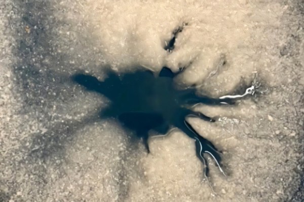 Scientists Intrigued by Large Spider-Like Blob on Europa