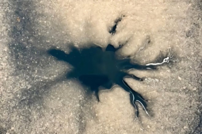 Scientists Intrigued by Large Spider-Like Blob on Europa