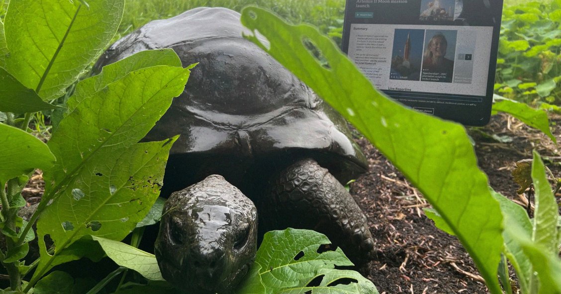 JONATHAN THE 193-YEAR-OLD TORTOISE IS STILL ALIVE, REPEAT HE HAS NOT DIED