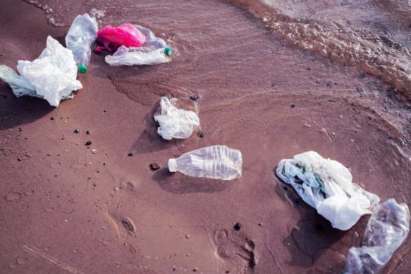 Volunteer Under Investigation for Cleaning Polluted River Without a ...